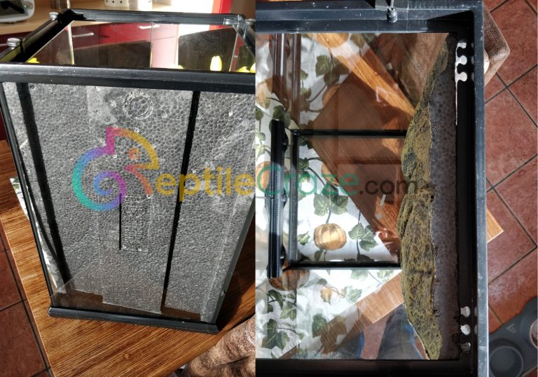 Exo Terra Terrarium Review: Features, Pros And Cons - Reptile Craze