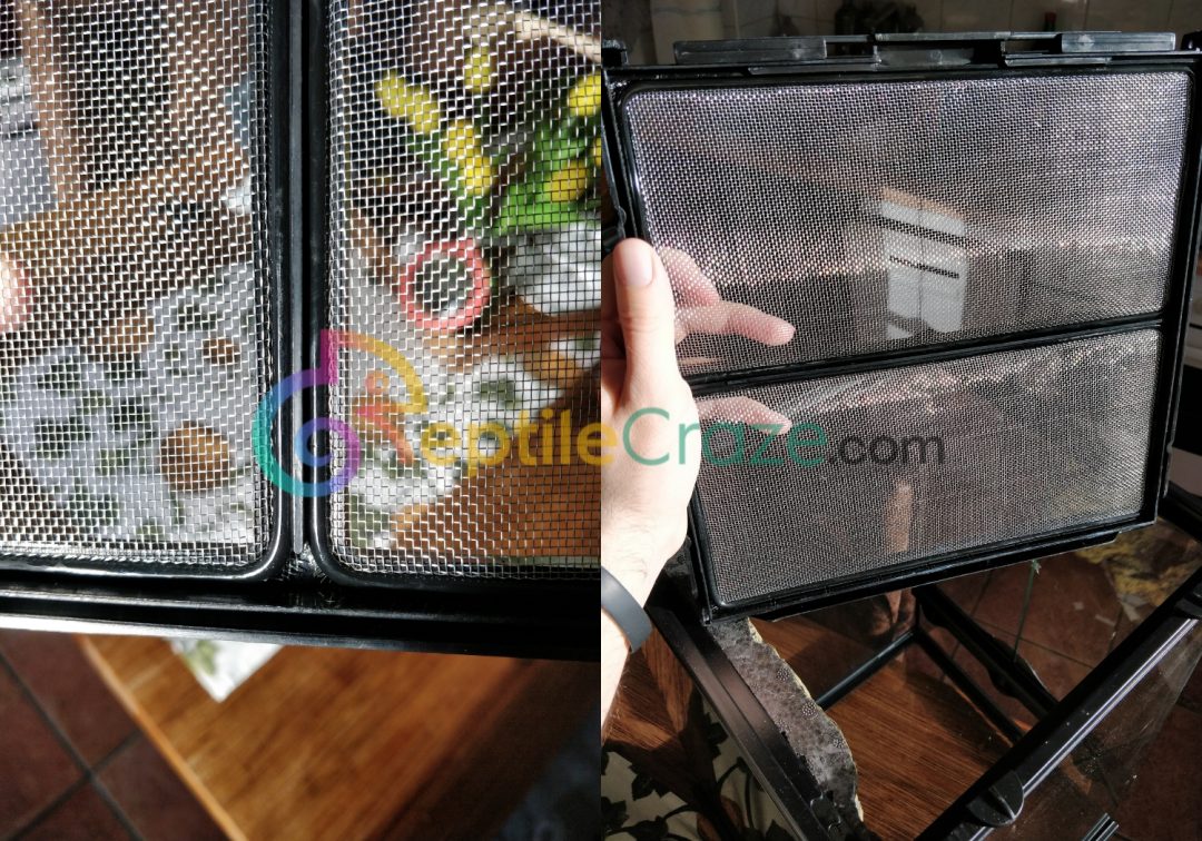 Exo Terra Terrarium Review: Features, Pros And Cons - Reptile Craze