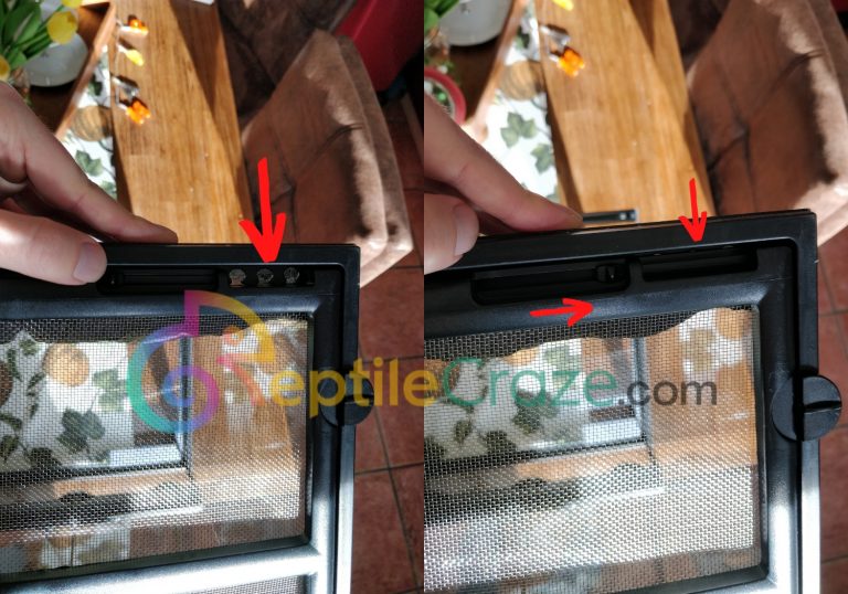 Exo Terra Terrarium Review: Features, Pros And Cons - Reptile Craze