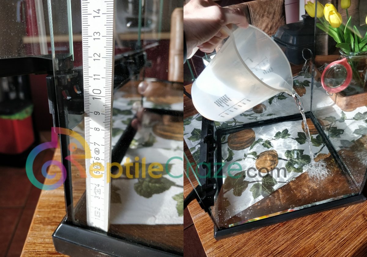 Exo Terra Terrarium Review: Features, Pros And Cons - Reptile Craze