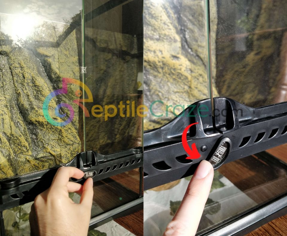 Exo Terra Terrarium Review: Features, Pros And Cons - Reptile Craze