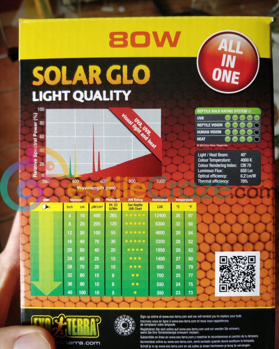 Exo Terra Solar Glo Review: How Good Is It? - Reptile Craze